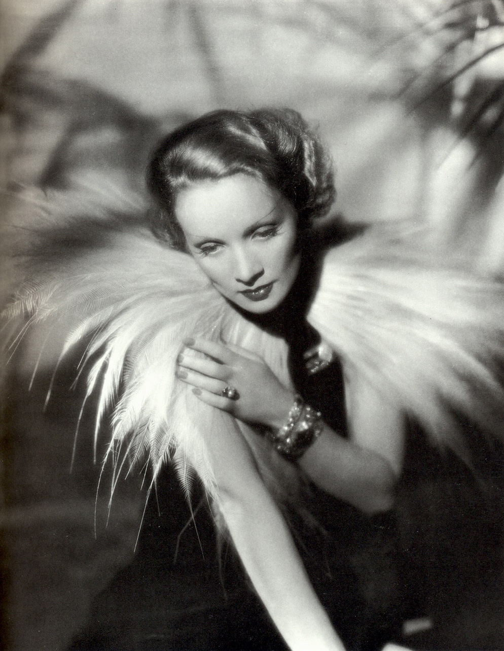 Marlene Dietrich Nrfpt